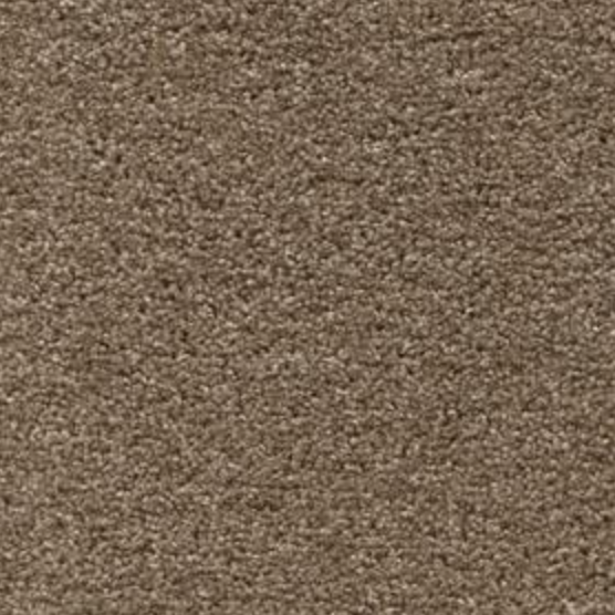 Direct Twist Carpet | Budget Carpet Torbay | FREE Delivery